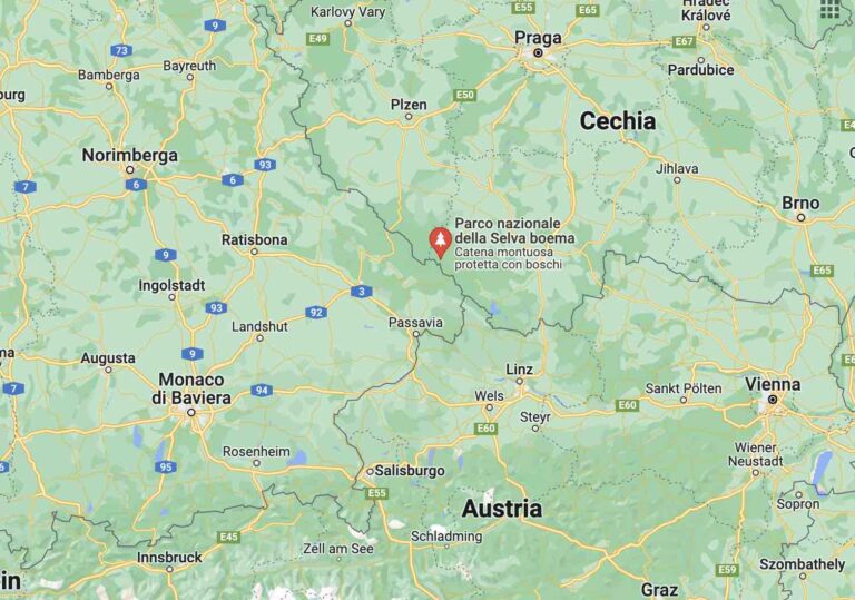 La Selva Boema: un paradiso naturale nel cuore dell’Europa ...